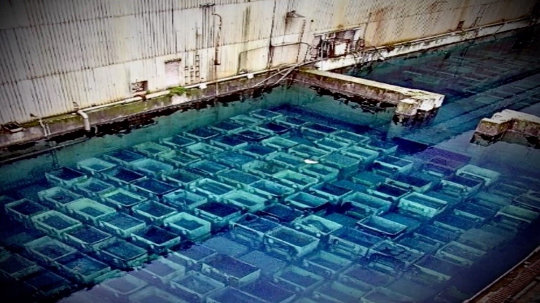 Nuclear decommissioning and isotope ratio mass spectrometry