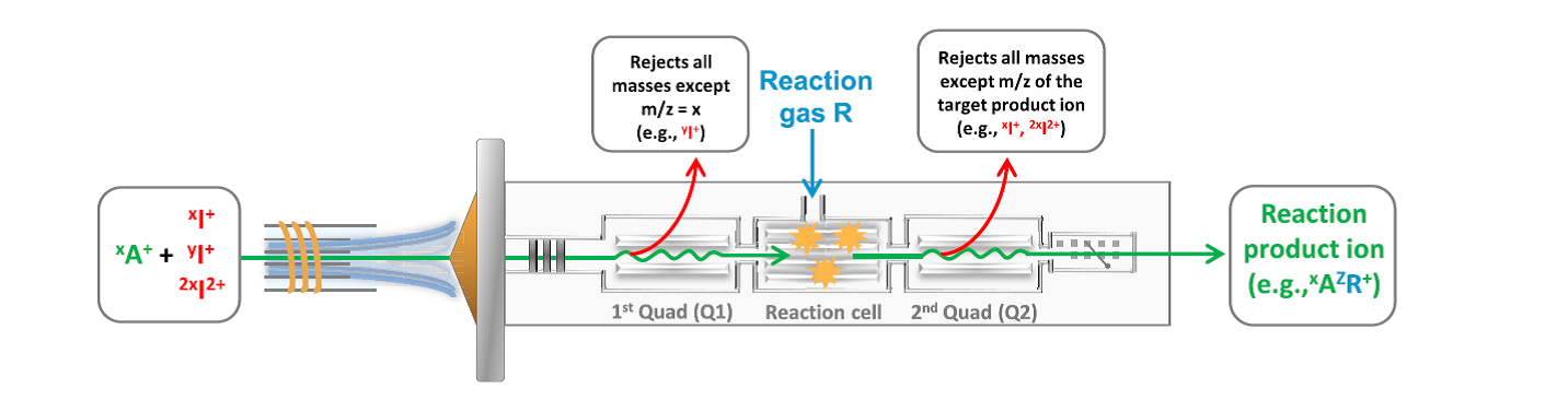 Collision Cells Are Back In Fashion
